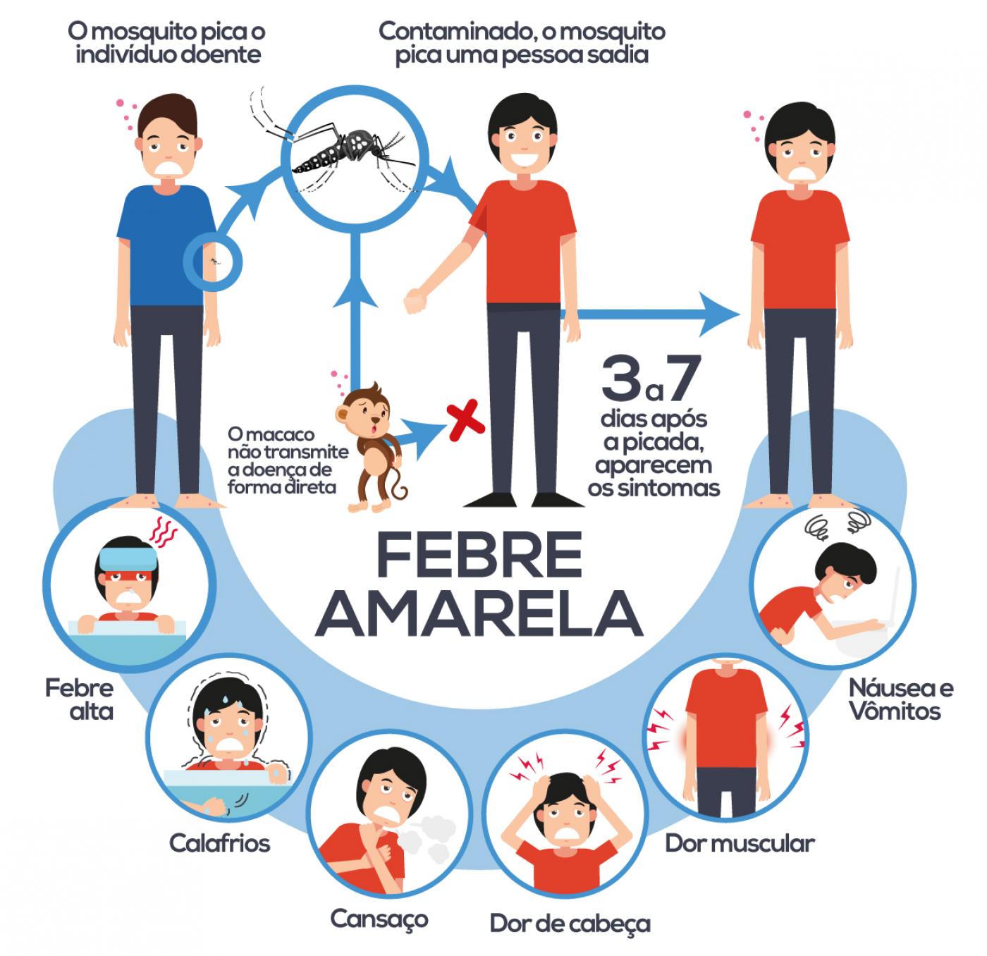 Saiba mais sobre a febre amarela | Notícia | Prefeitura de Santos